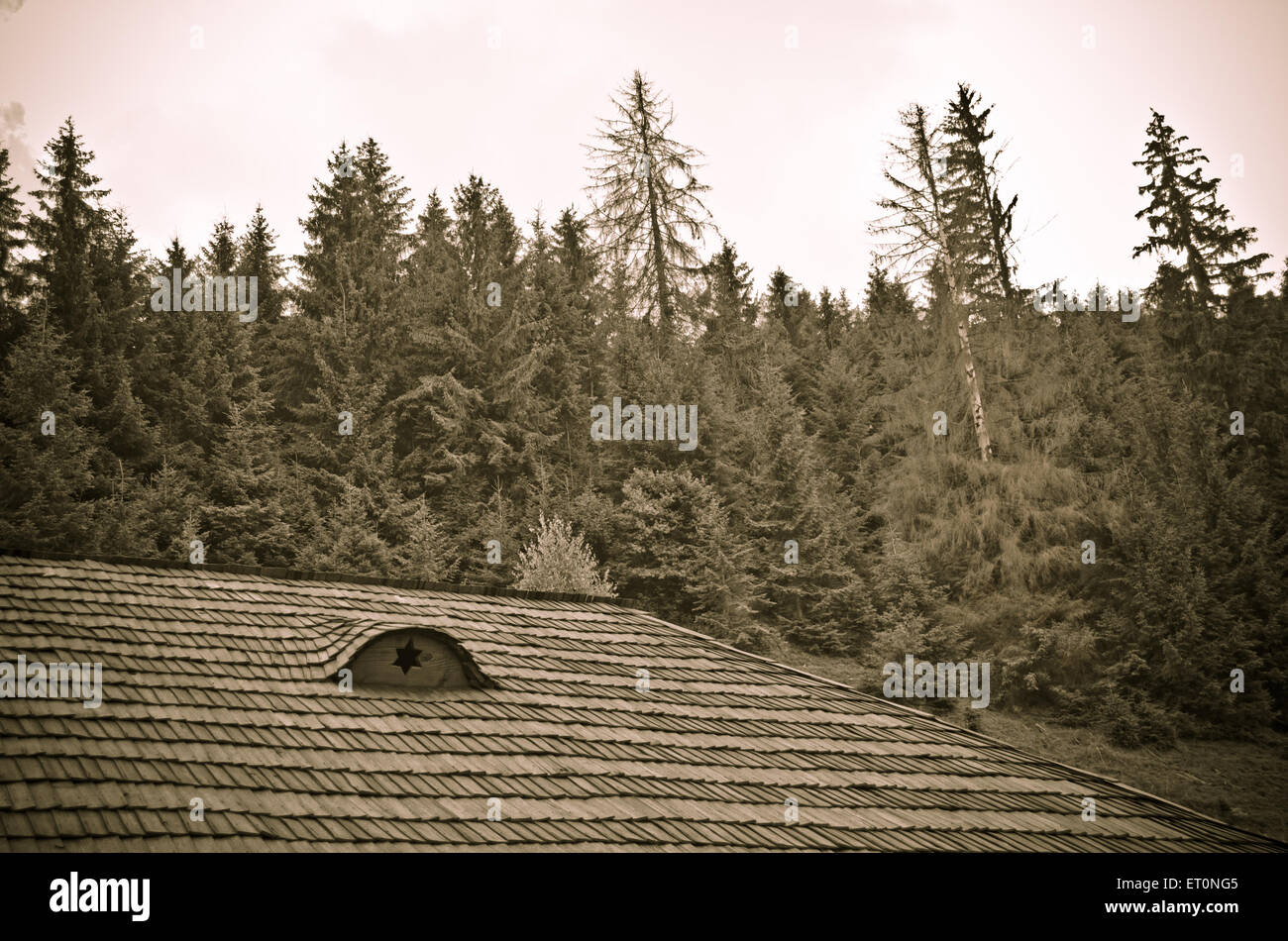 Jewish Star House High Resolution Stock Photography and Images - Alamy