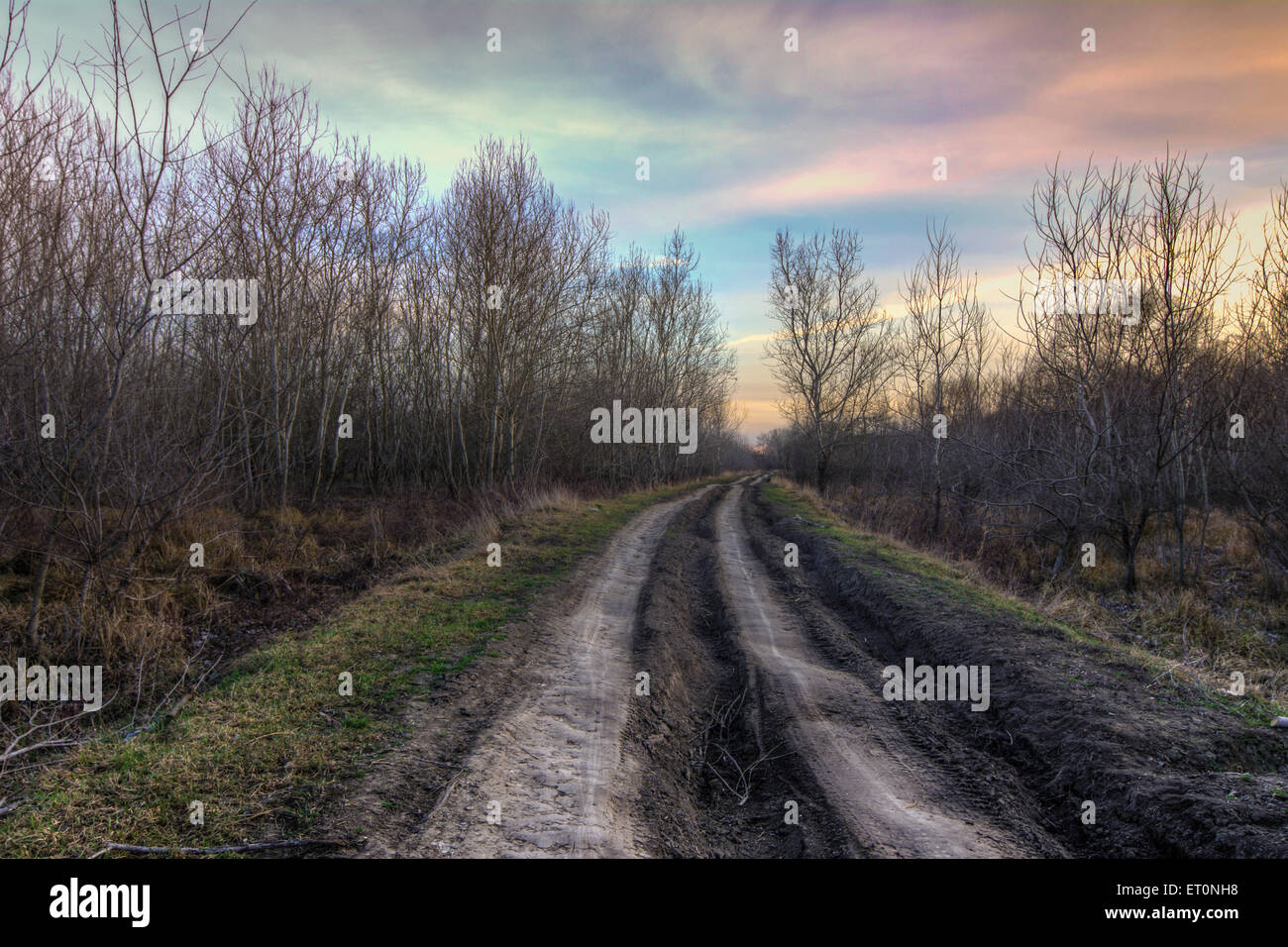 Old Country Road High Resolution Stock Photography and Images - Alamy