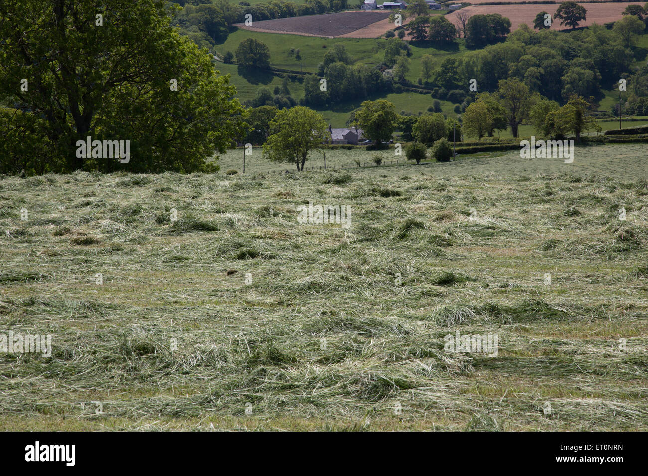 Silage making hi-res stock photography and images - Alamy