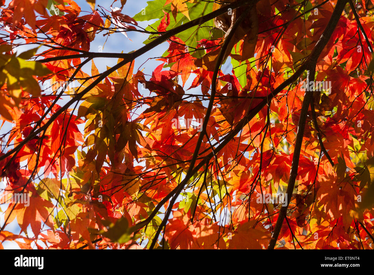 Dry sunny weather hi-res stock photography and images - Alamy