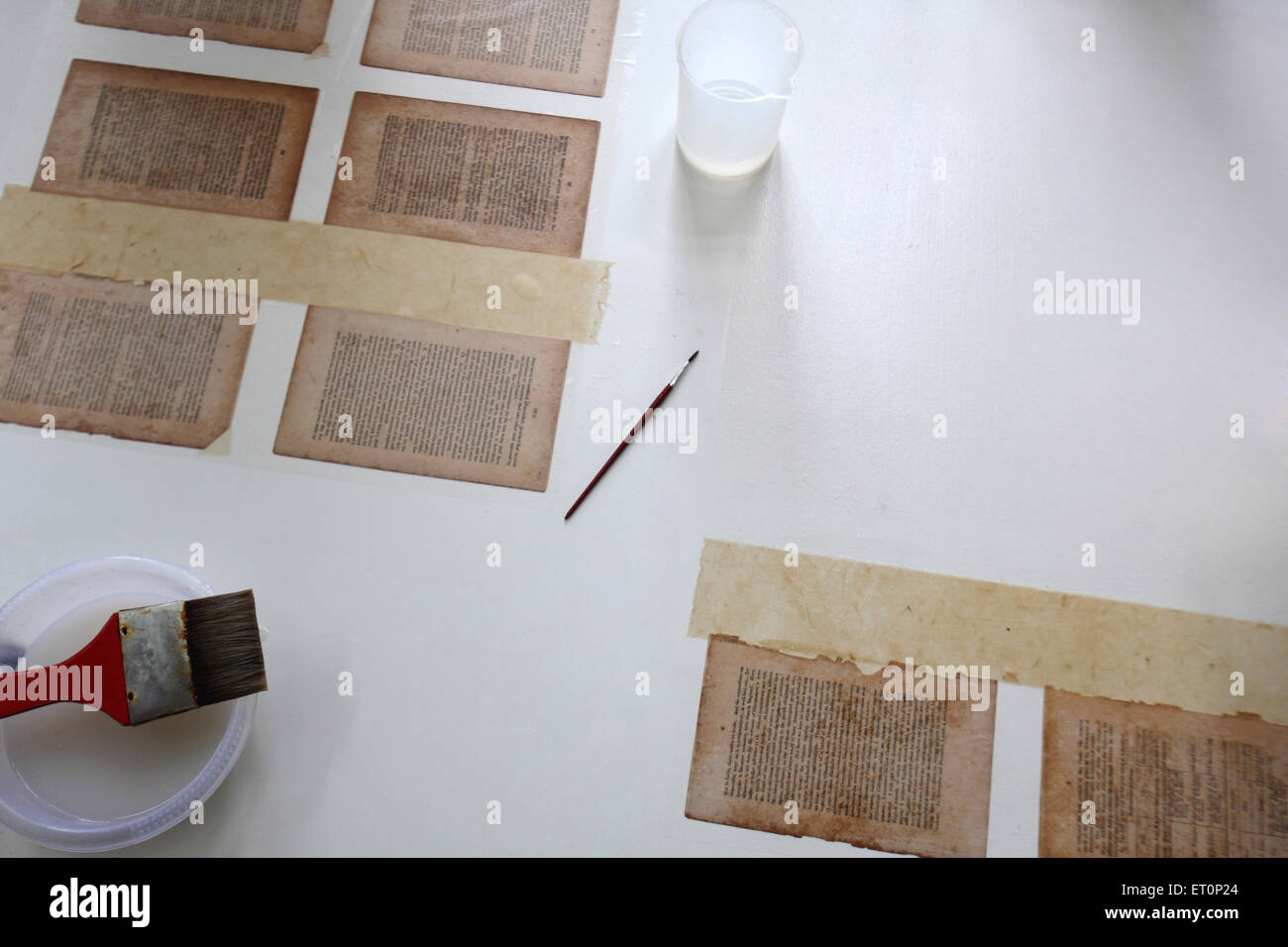 Preservation Stock Photos & Preservation Stock Images - Alamy