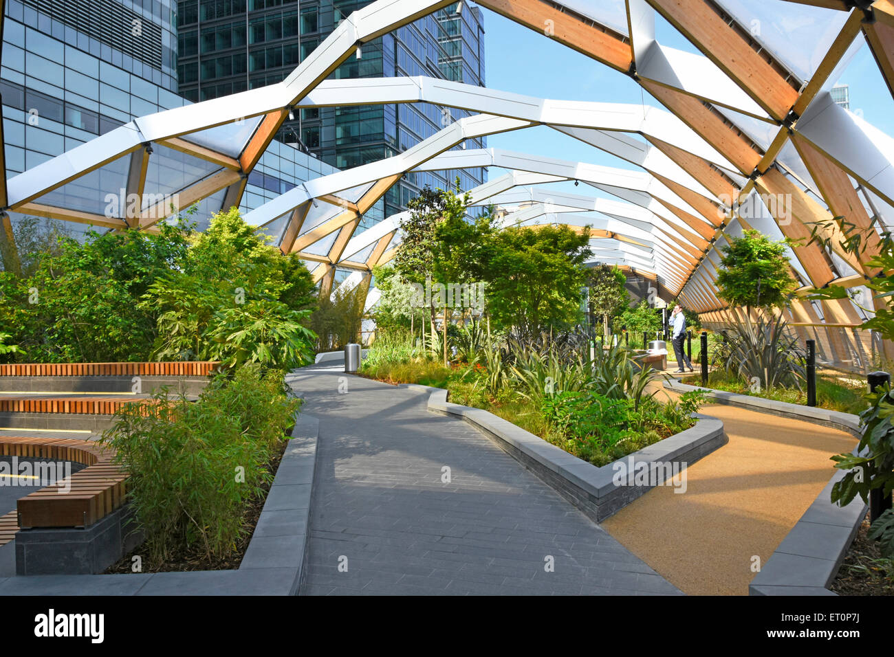 Plants grow Crossrail Place roof garden above Crossrail train station ...