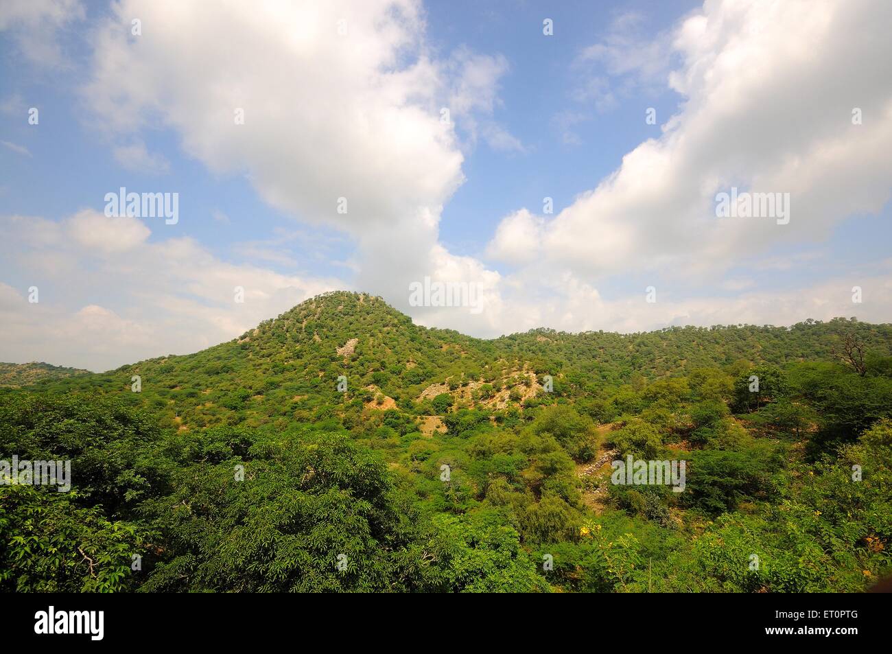 Sky clouds greenery hi-res stock photography and images - Alamy