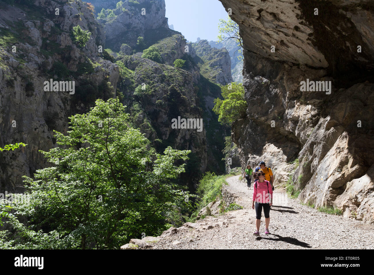 Walkers in the Cares Gorge Picos De Europa Cordillera Cantabria Spain ...