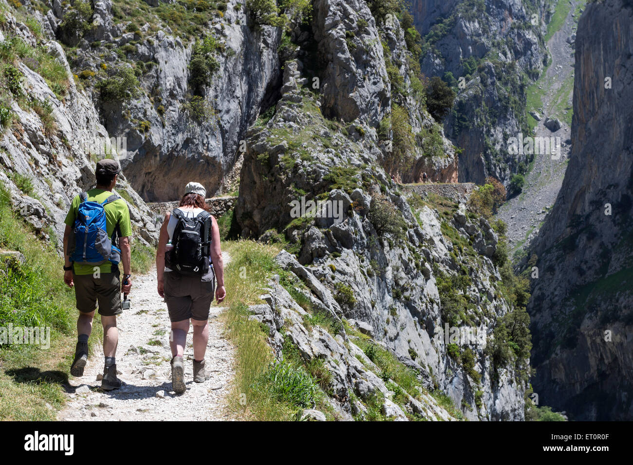 Walkers in the Cares Gorge Picos De Europa Cordillera Cantabria Spain ...