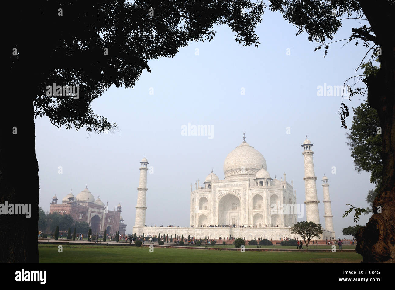 Taj mahal at an angle hi-res stock photography and images - Alamy