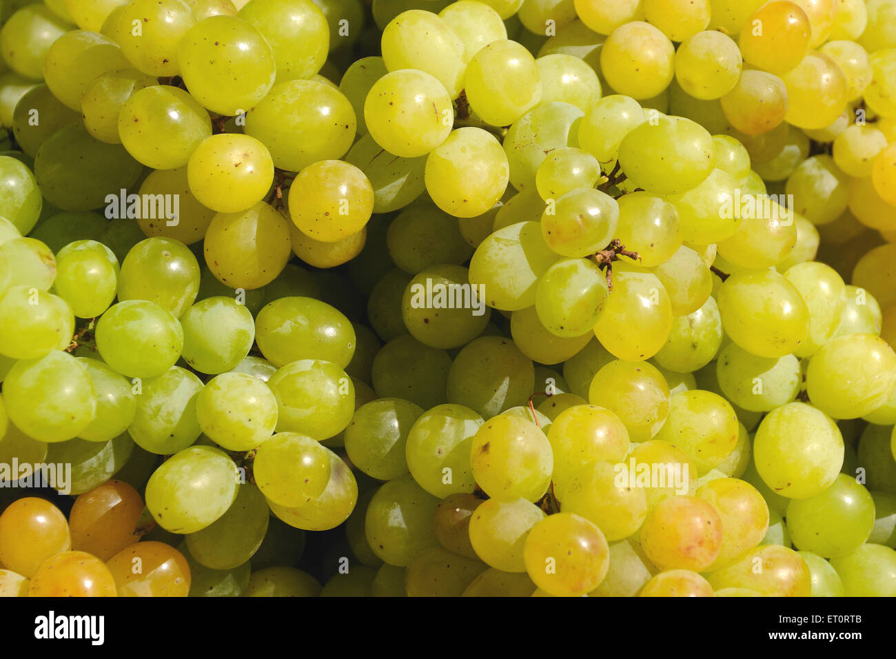 bunch of grapes Stock Photo - Alamy