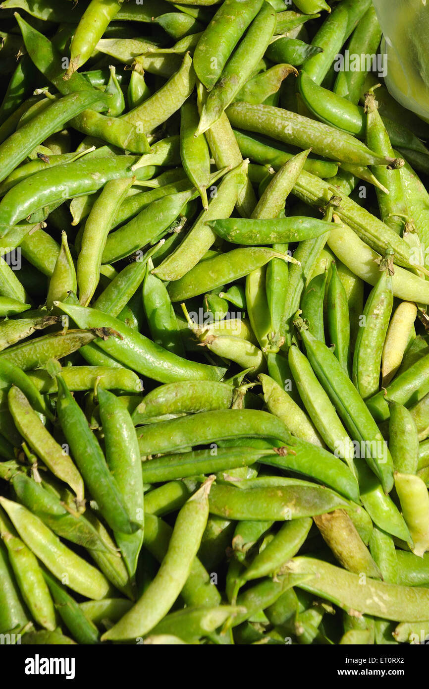 Greenpea hi-res stock photography and images - Alamy