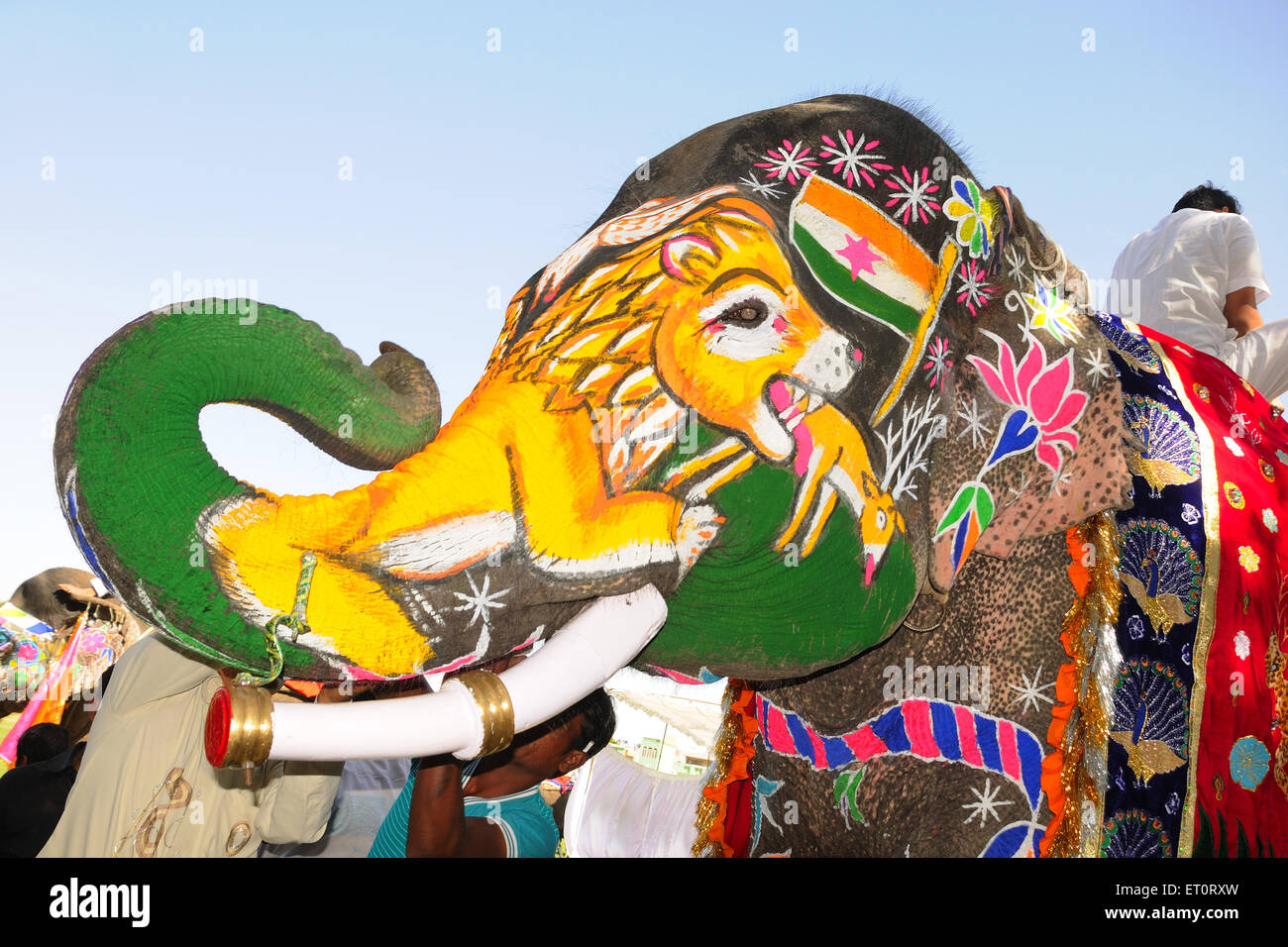 painted elephant, elephant decorated, elephant decoration, elephant ...