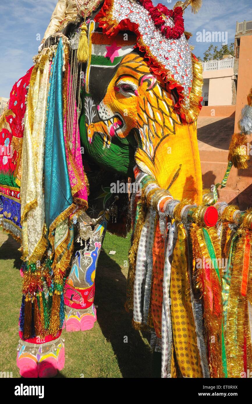 painted elephant, elephant decorated, elephant decoration, elephant ...