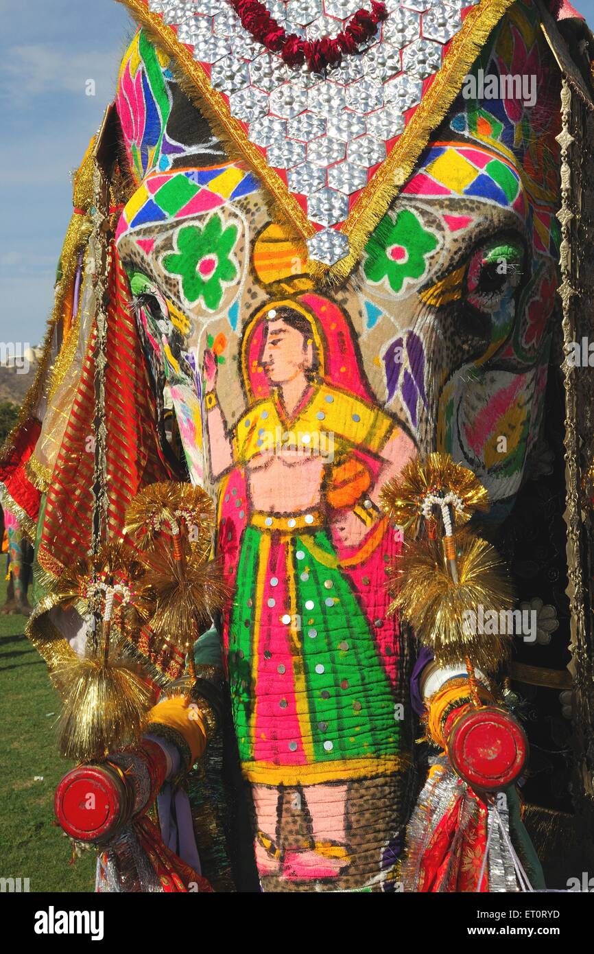 painted elephant, elephant decorated, elephant decoration, elephant ...