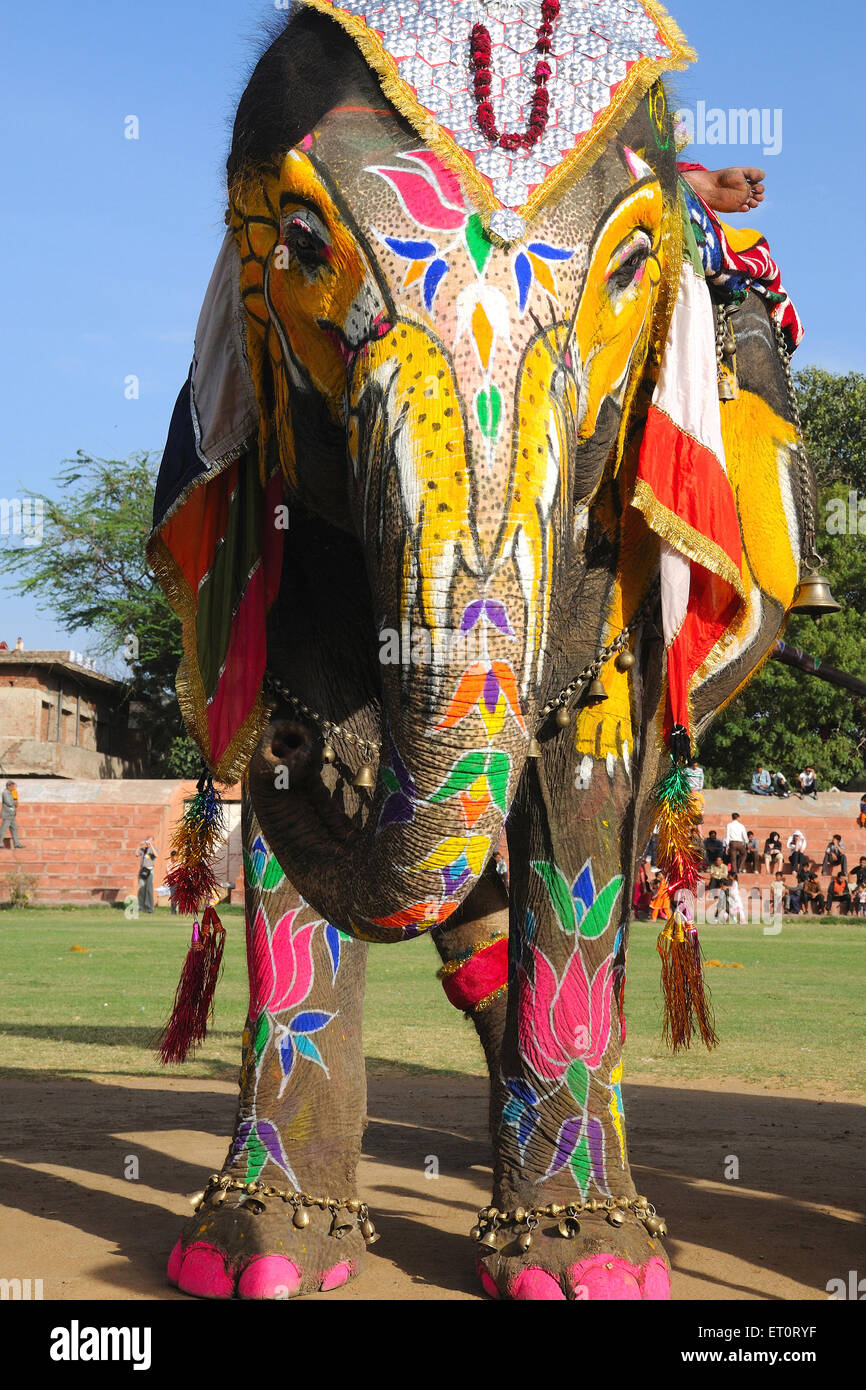 Elephant trunk decoration india hi-res stock photography and images - Alamy