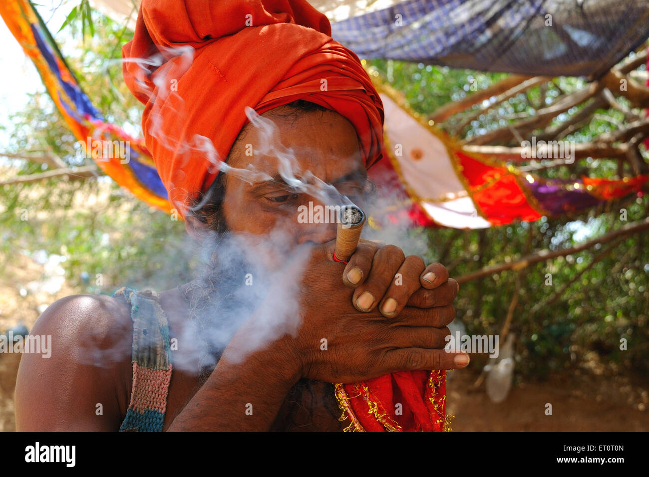 Priest smoking chillum, Ramdevra temple, Pokhran, Jaisalmer, Rajasthan ...