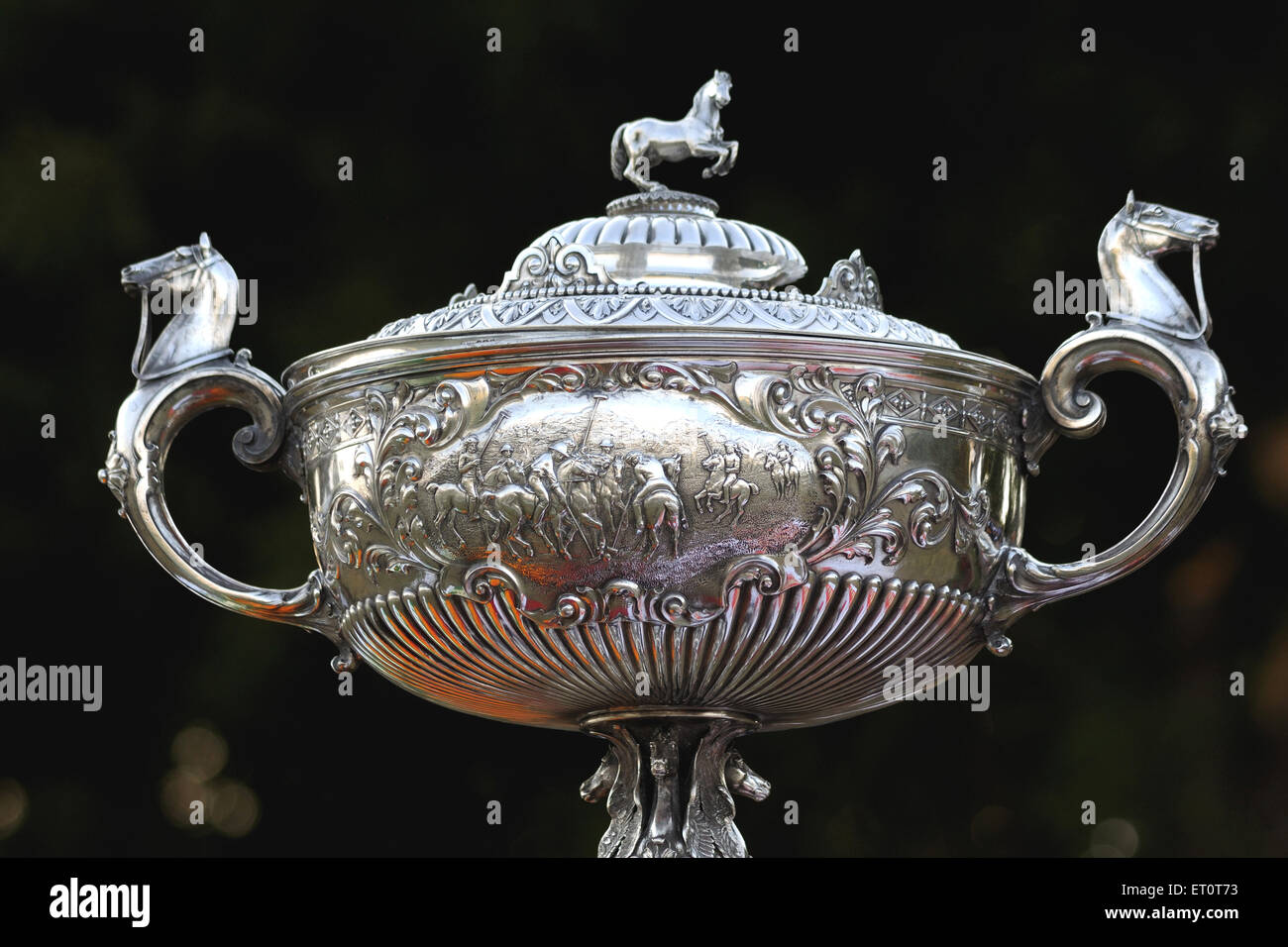 Polo trophy ; Jodhpur ; Rajasthan ; India ; Asia Stock Photo - Alamy