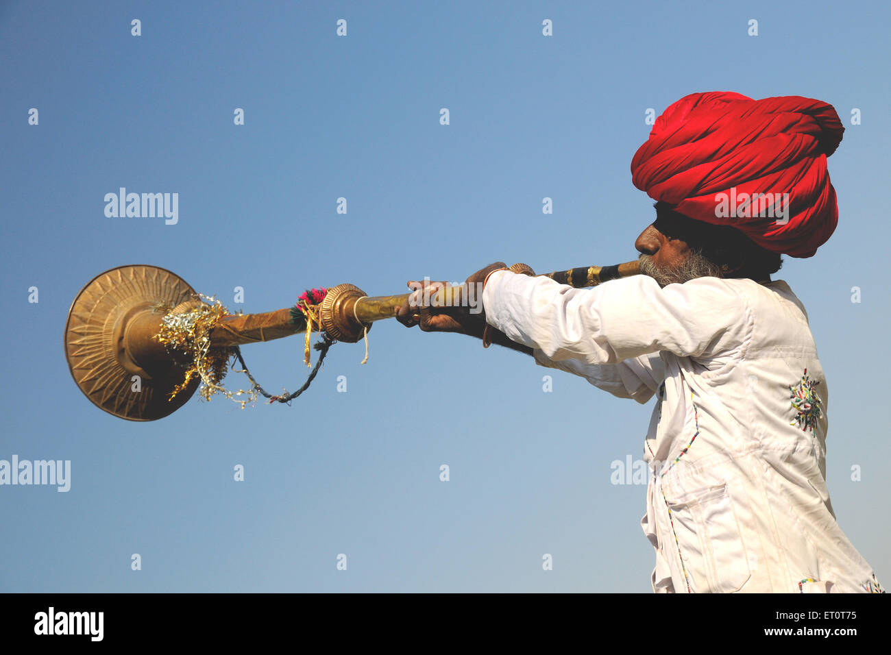 Indian man playing Rajasthani trumpet ; Jodhpur ; Rajasthan ; India ...