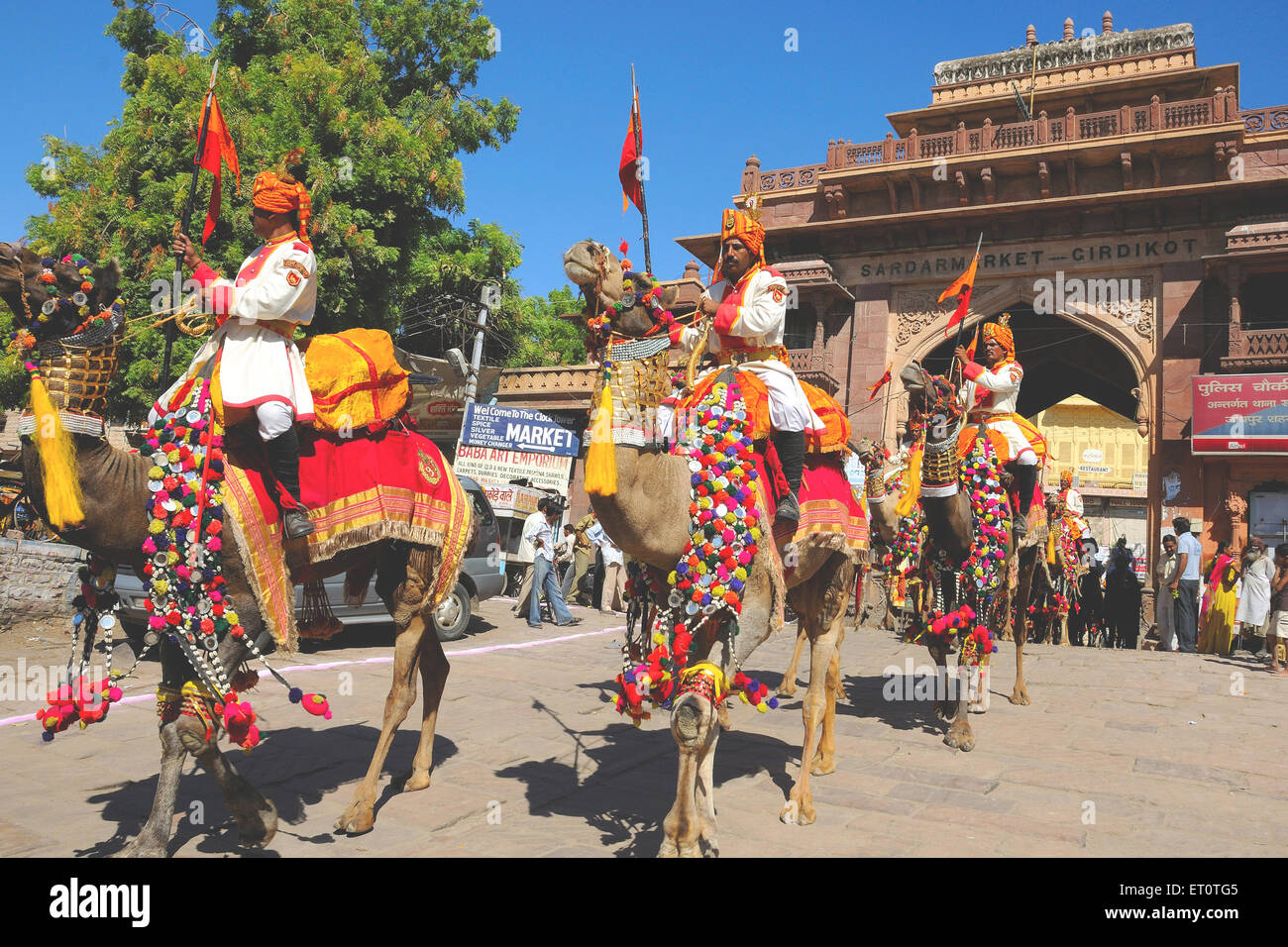 Camel with his headgear hi-res stock photography and images - Alamy