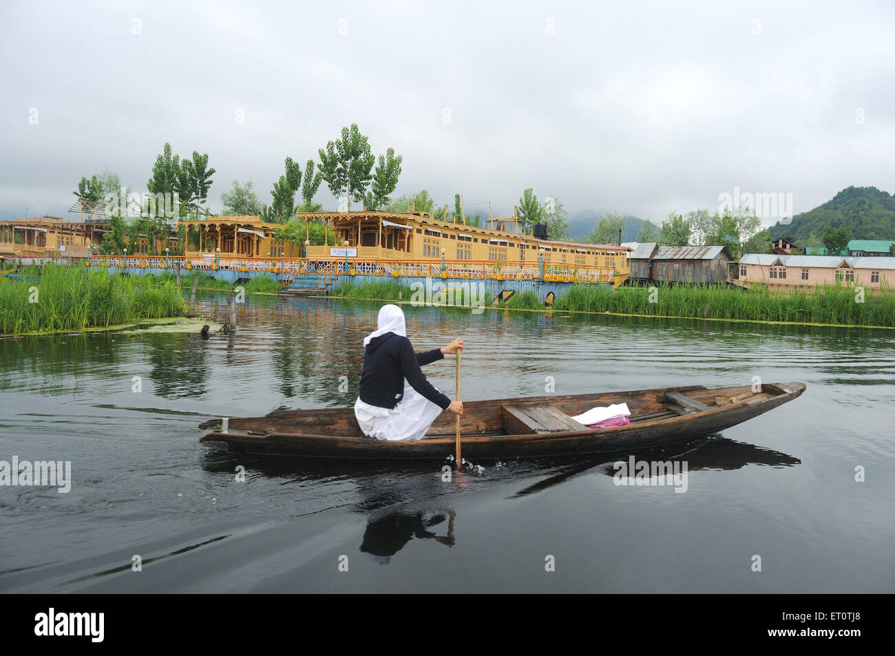Lady travelling on canoe in dal lake ; Srinagar ; Jammu and Kashmir ...