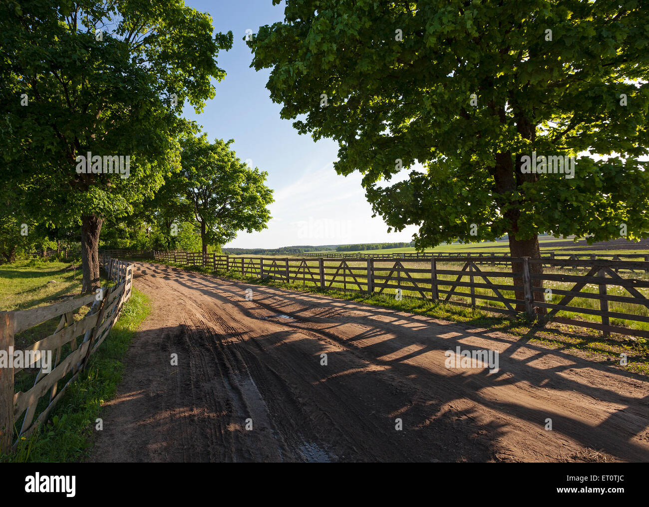 the road on a farm Stock Photo - Alamy