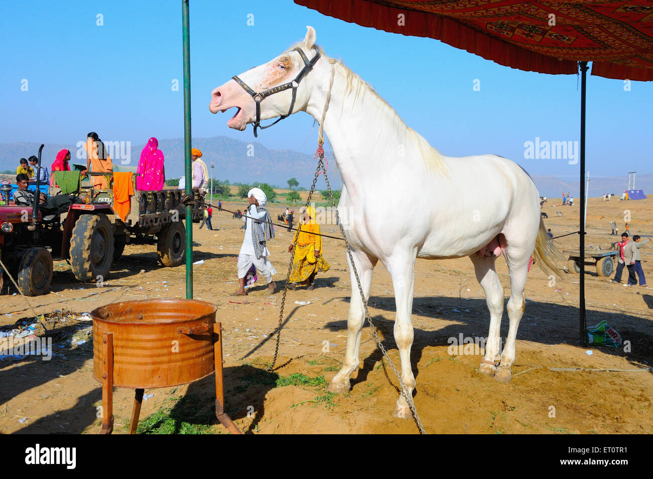 Horse fairs hi-res stock photography and images - Alamy