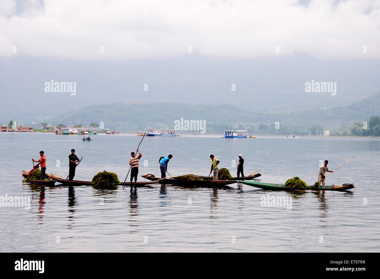 Indian algae lakes hi-res stock photography and images - Alamy