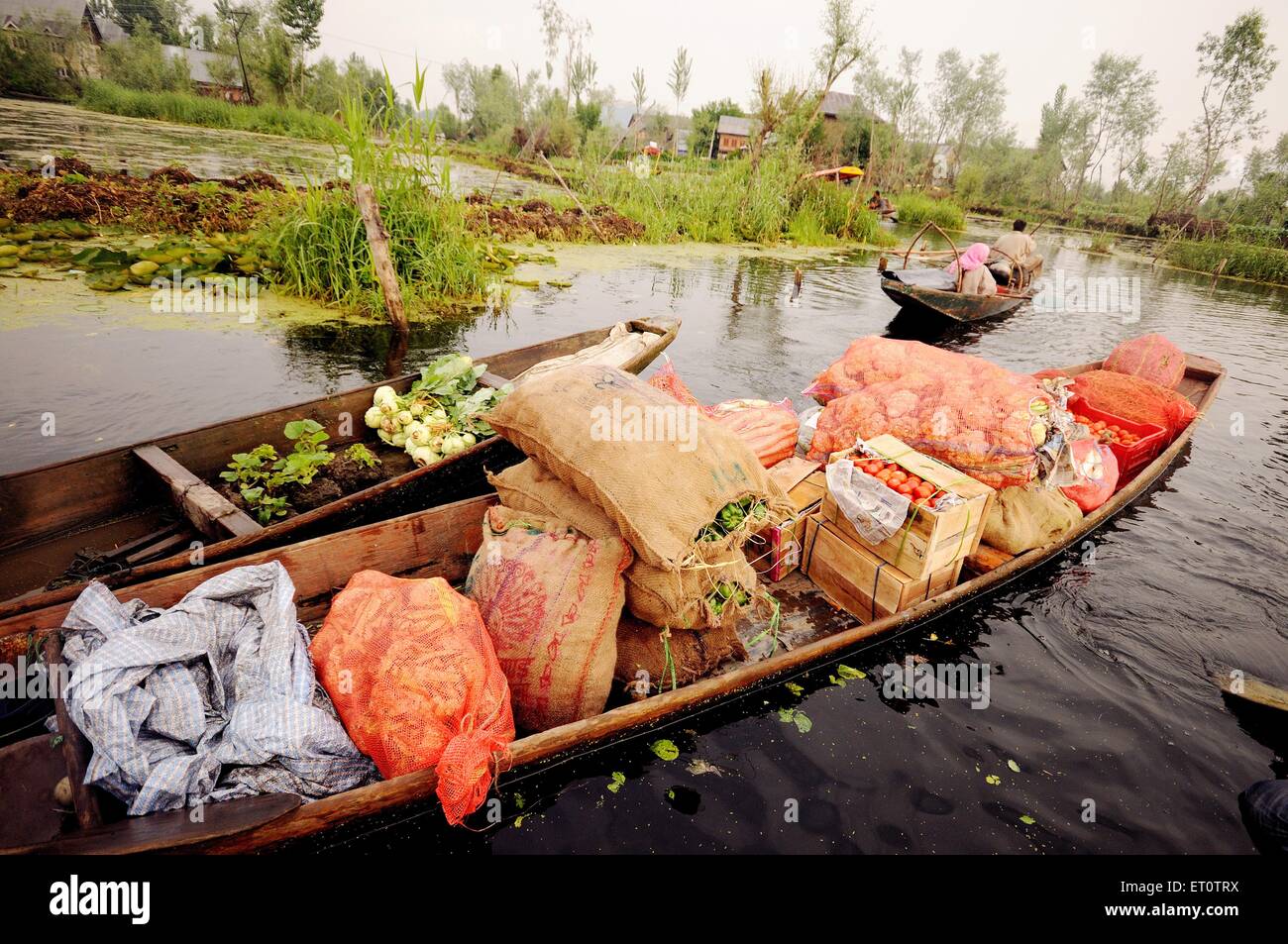 Vegetables on canoe in dal lake ; Srinagar ; Jammu and Kashmir ; India ...
