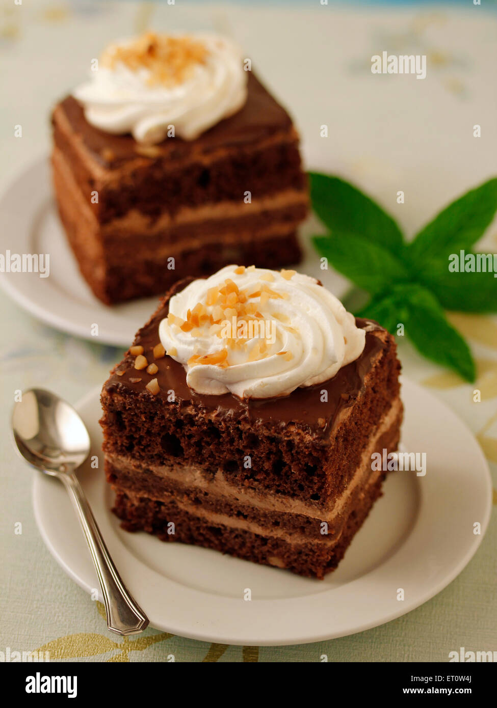 Chocolate sponge cake Stock Photo - Alamy