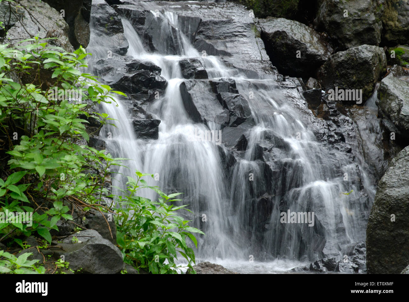 Malshej falls hi-res stock photography and images - Alamy