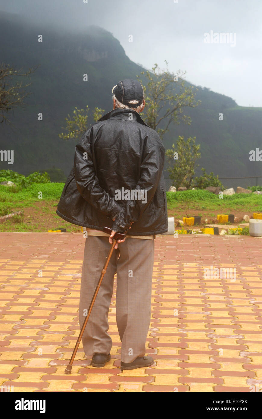 Old man holding stick standing in mist at Malshej Ghat ; Maharashtra ...