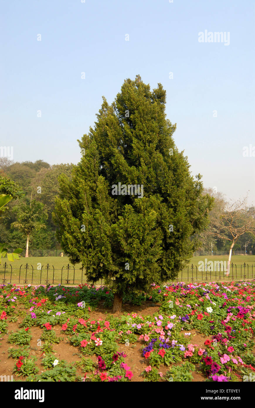 Saras baug hi-res stock photography and images - Alamy
