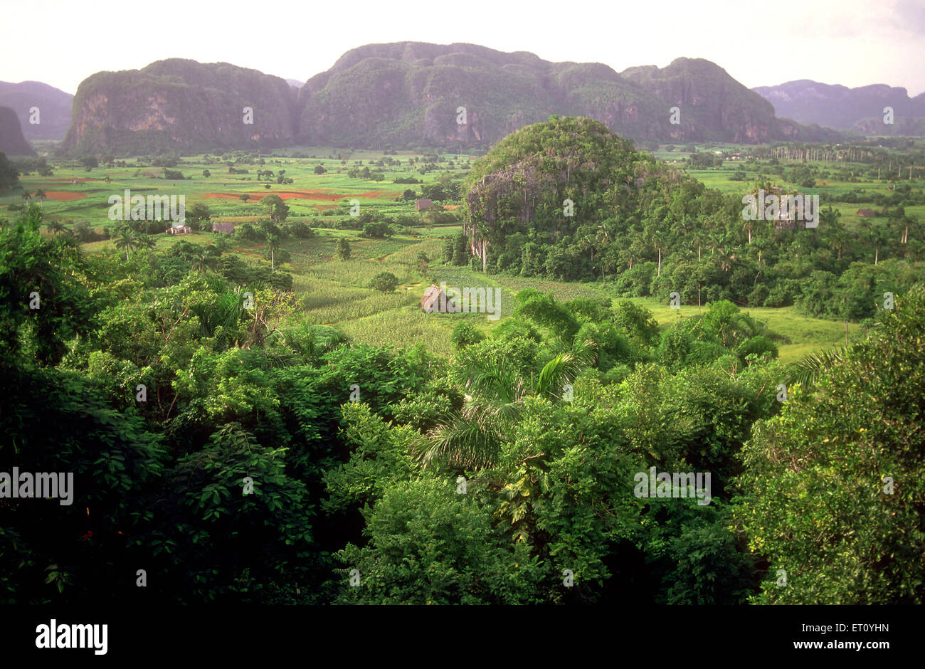 Vinales valley unesco world heritage site hi-res stock photography and ...
