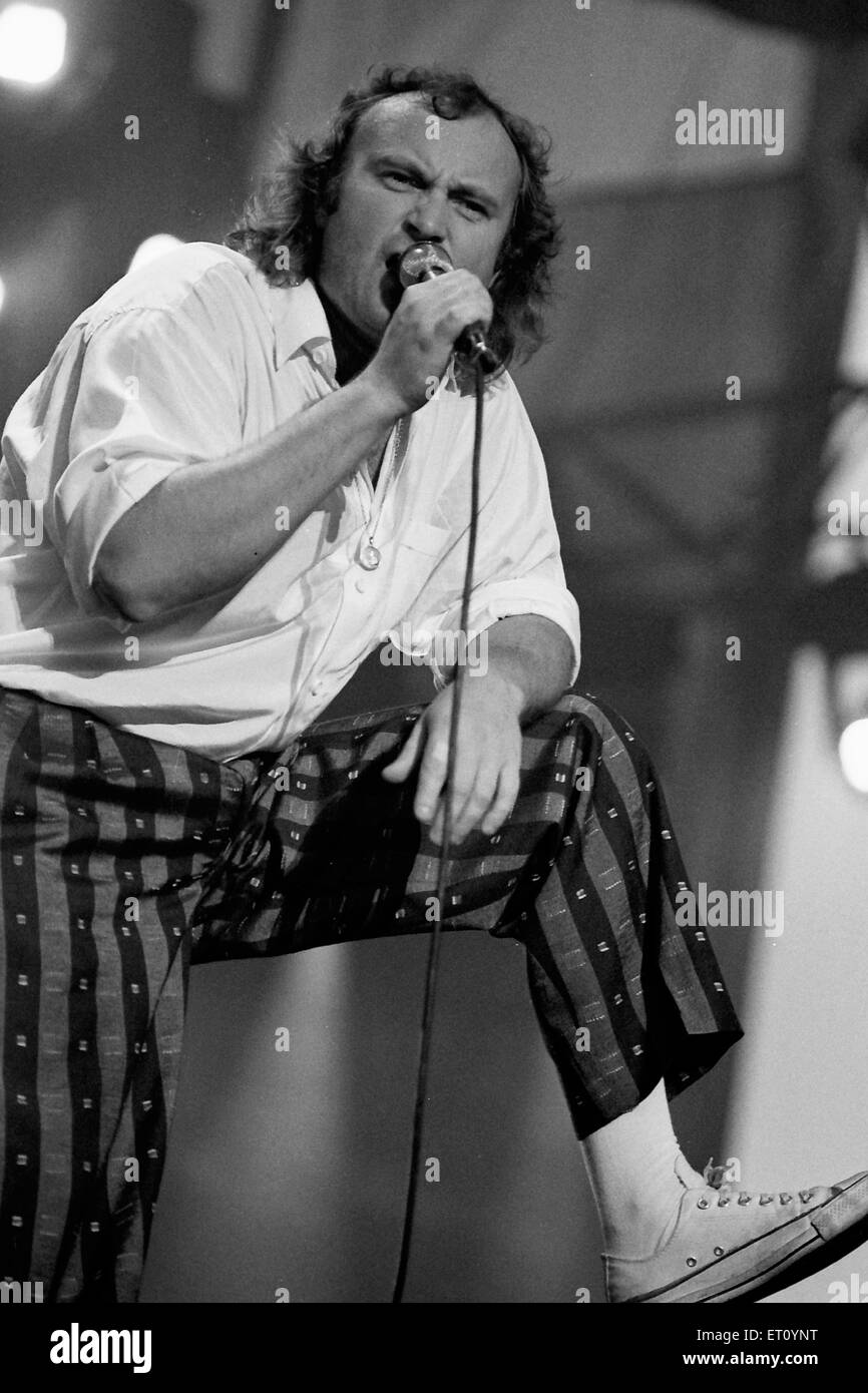 Simon Collins Musician