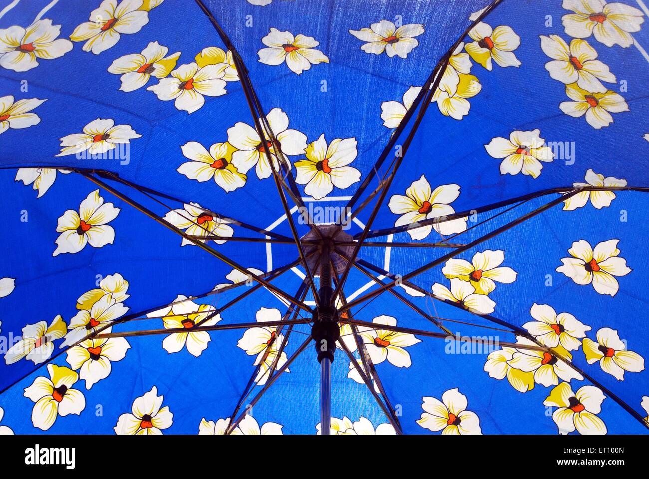 Umbrella rib High Resolution Stock Photography and Images - Alamy