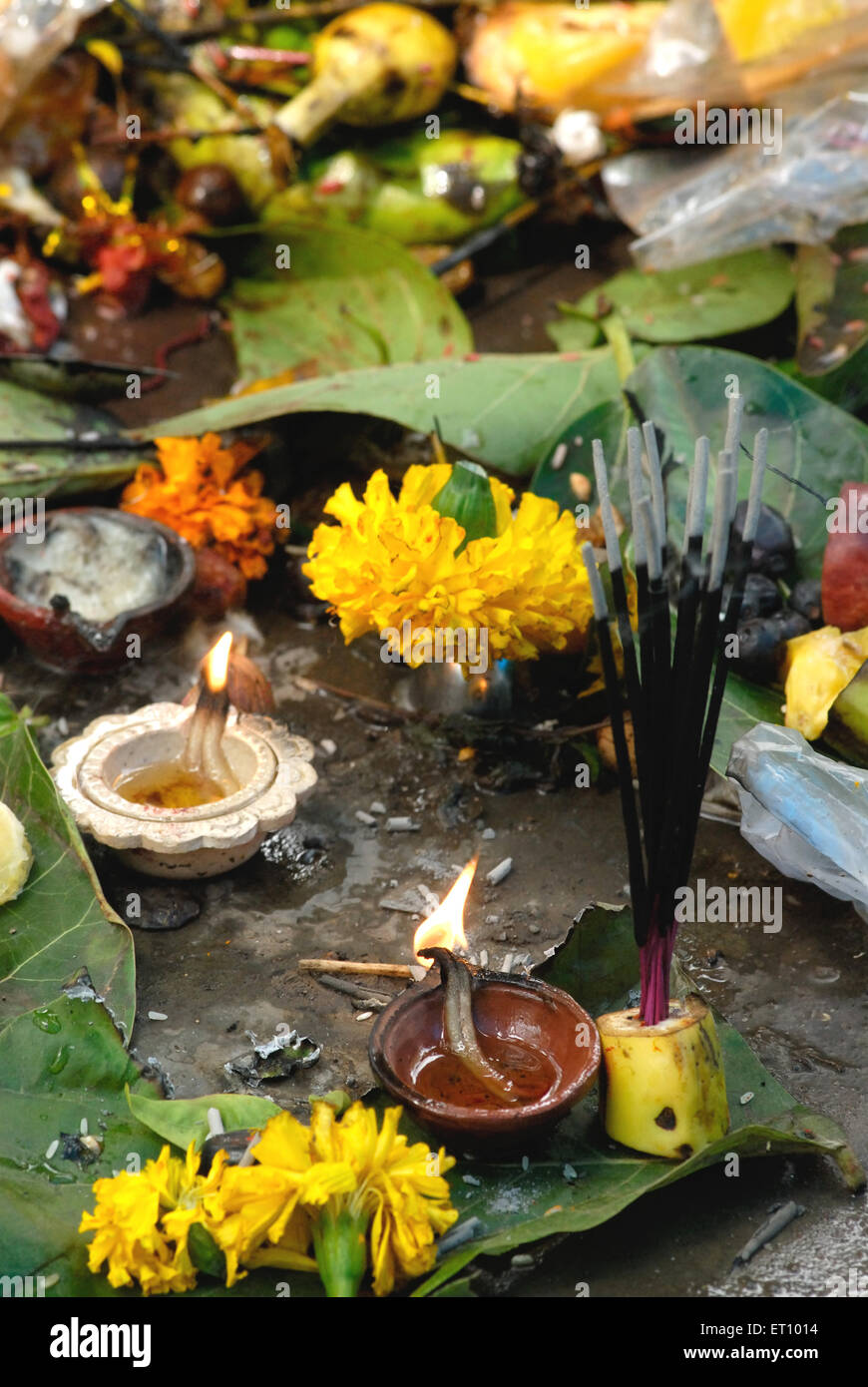 Incense sticks and oil lamps praying tree worship, Vat Savitri festival ...