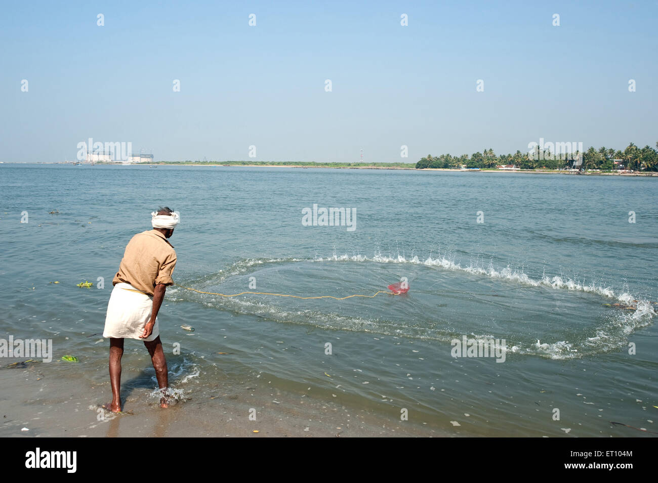 Fisherman throwing fishing net in sea ; Cochin ; Kochi ; Kerala ; India ...