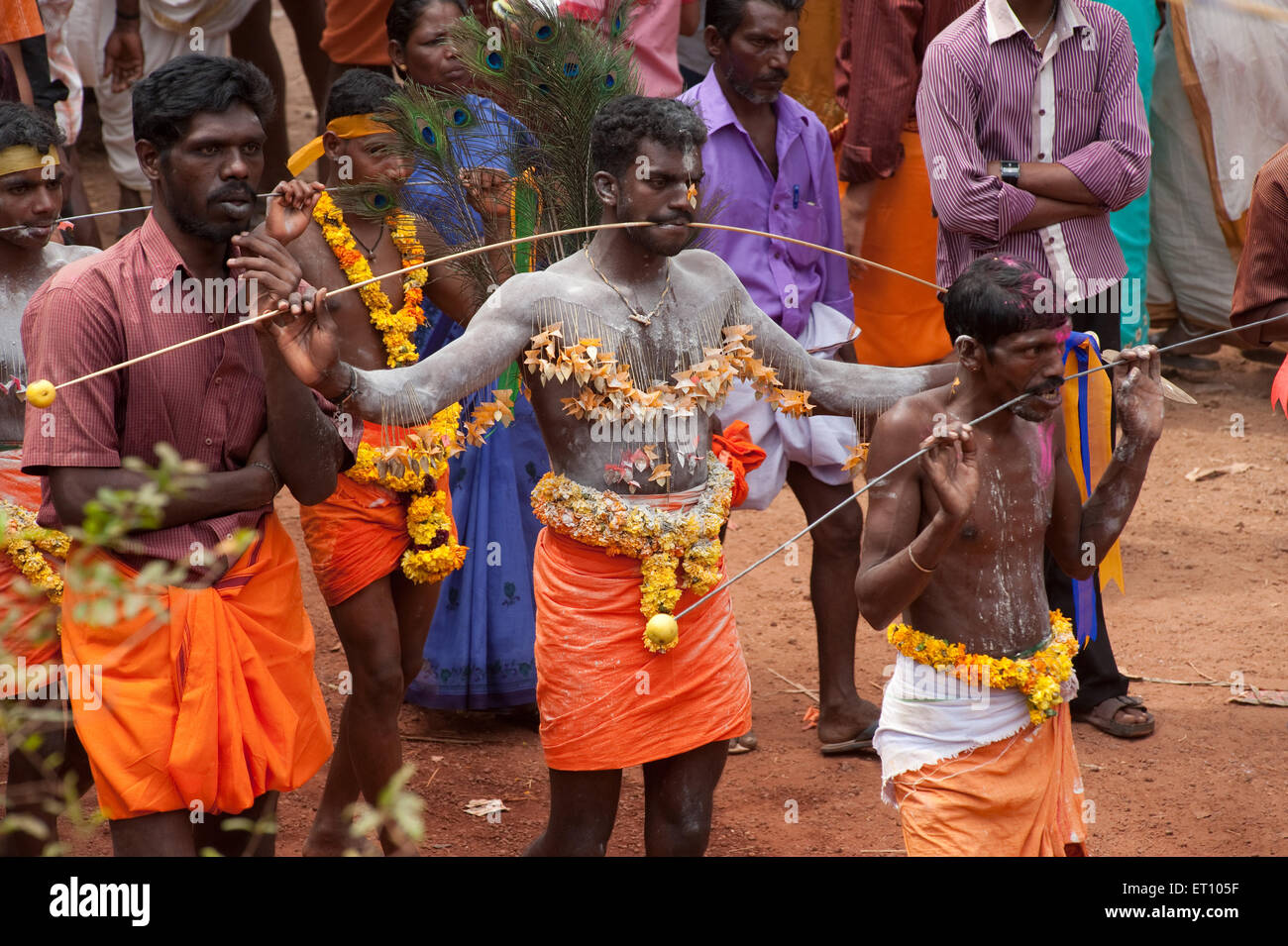 Devotees piercing body with skewers in kavadiatam thaipooyam ...