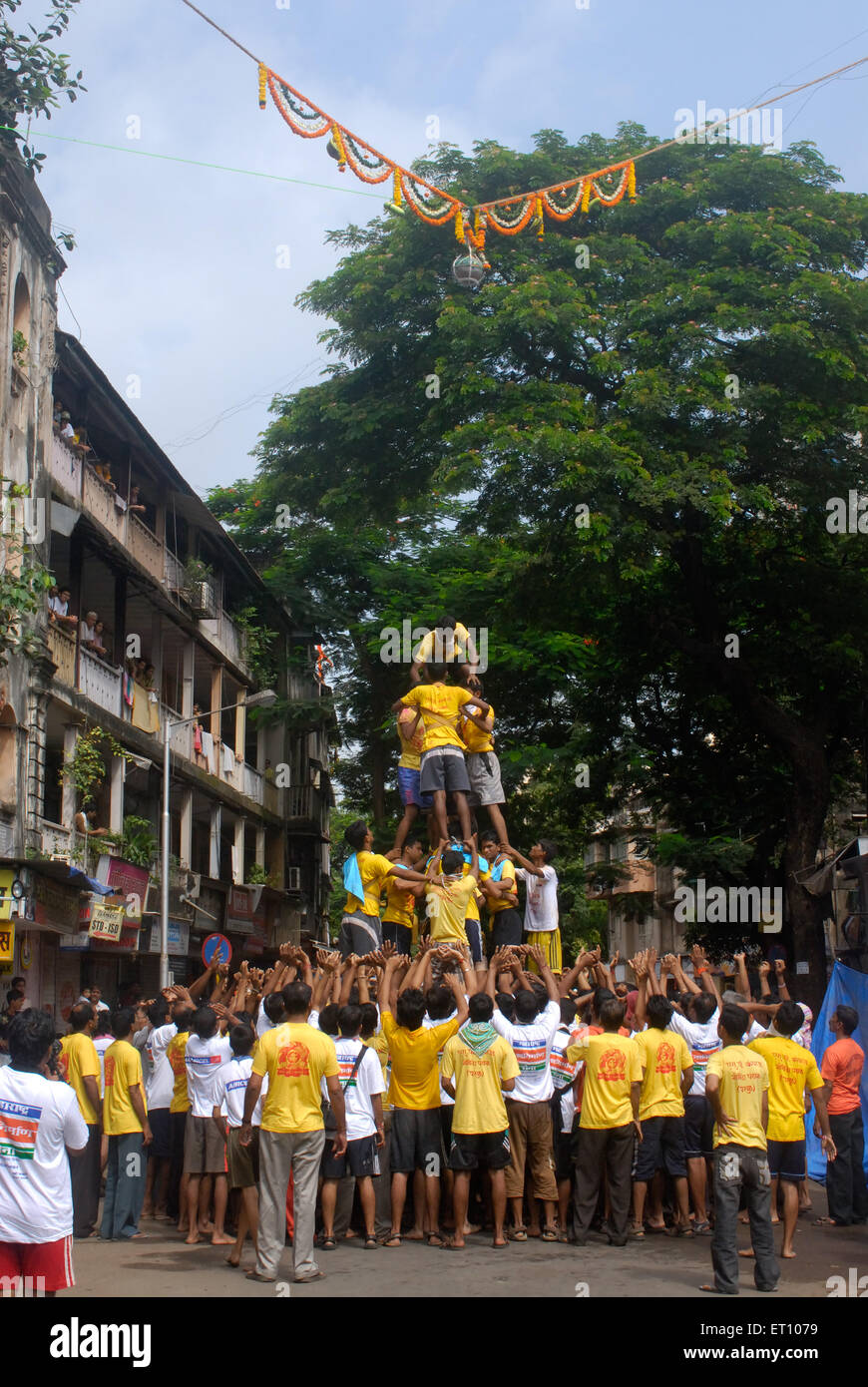 Human pyramid trying to break dahi handi on janmashtami festival at ...