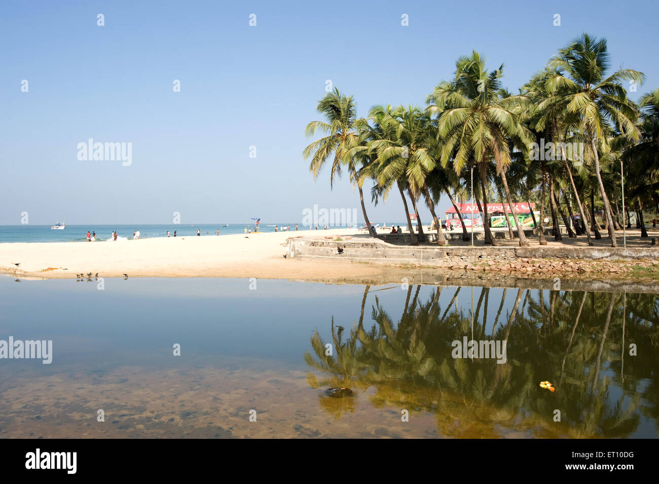 Colva beach ; Goa ; India Stock Photo - Alamy