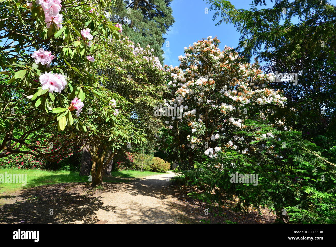 Sheffield park country estate hi-res stock photography and images - Alamy