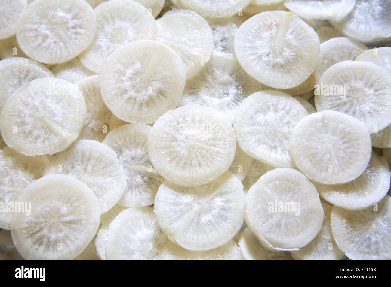 Green vegetable ; round slices of muli radish raphanus sativa Stock ...