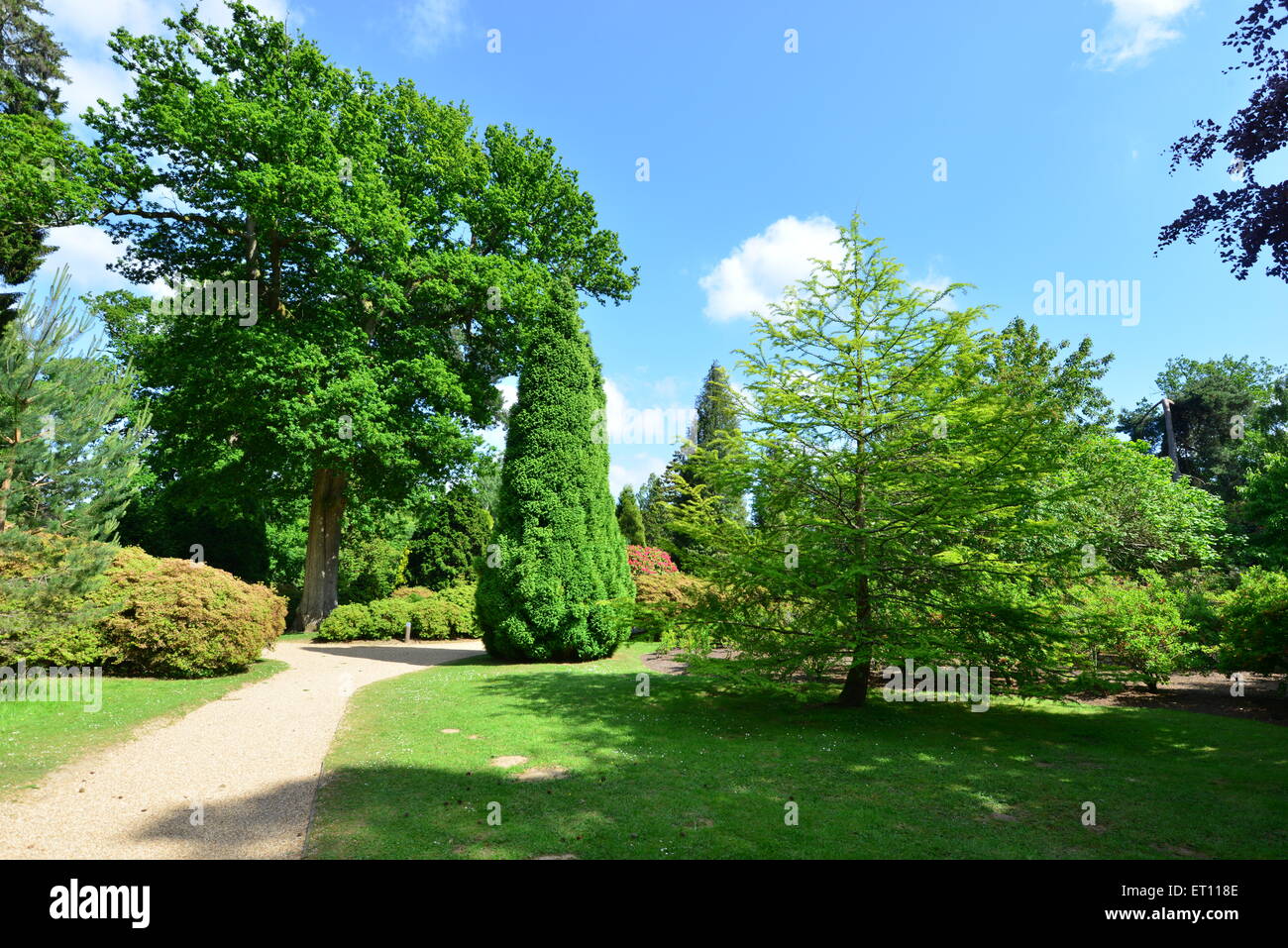 Sheffield park country estate hi-res stock photography and images - Alamy