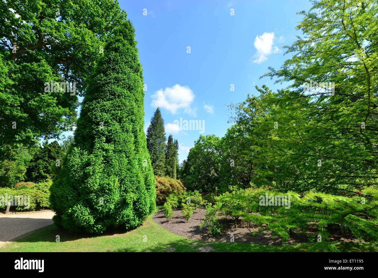 Sheffield park country estate hi-res stock photography and images - Alamy