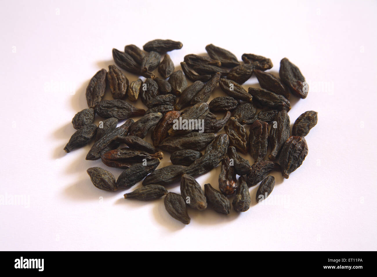 Ayurvedic medicine herbal and spices harar myrobalan on white ...