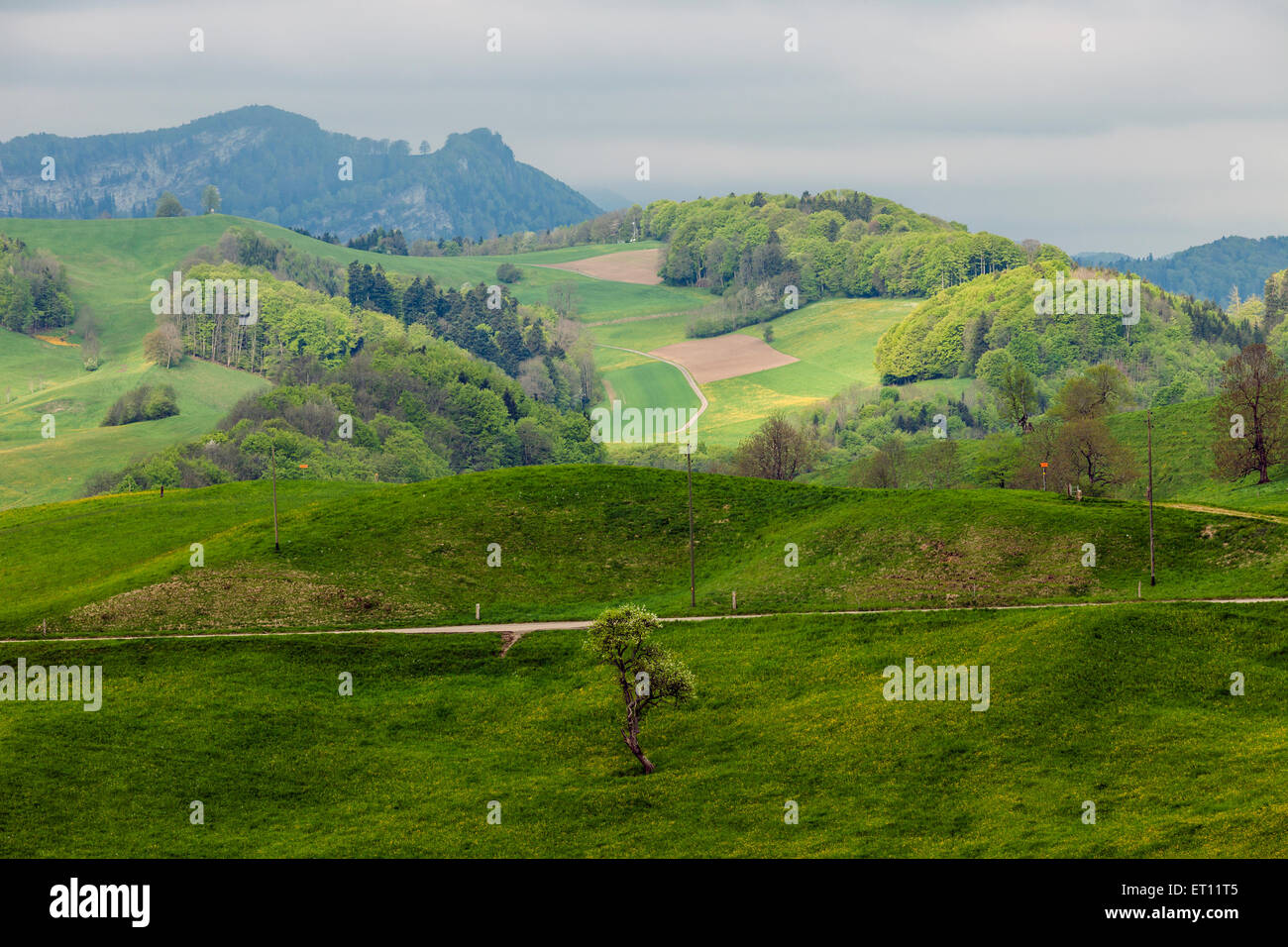 Misty spring morning in Swiss Jura mountains, canton Basel-Country ...