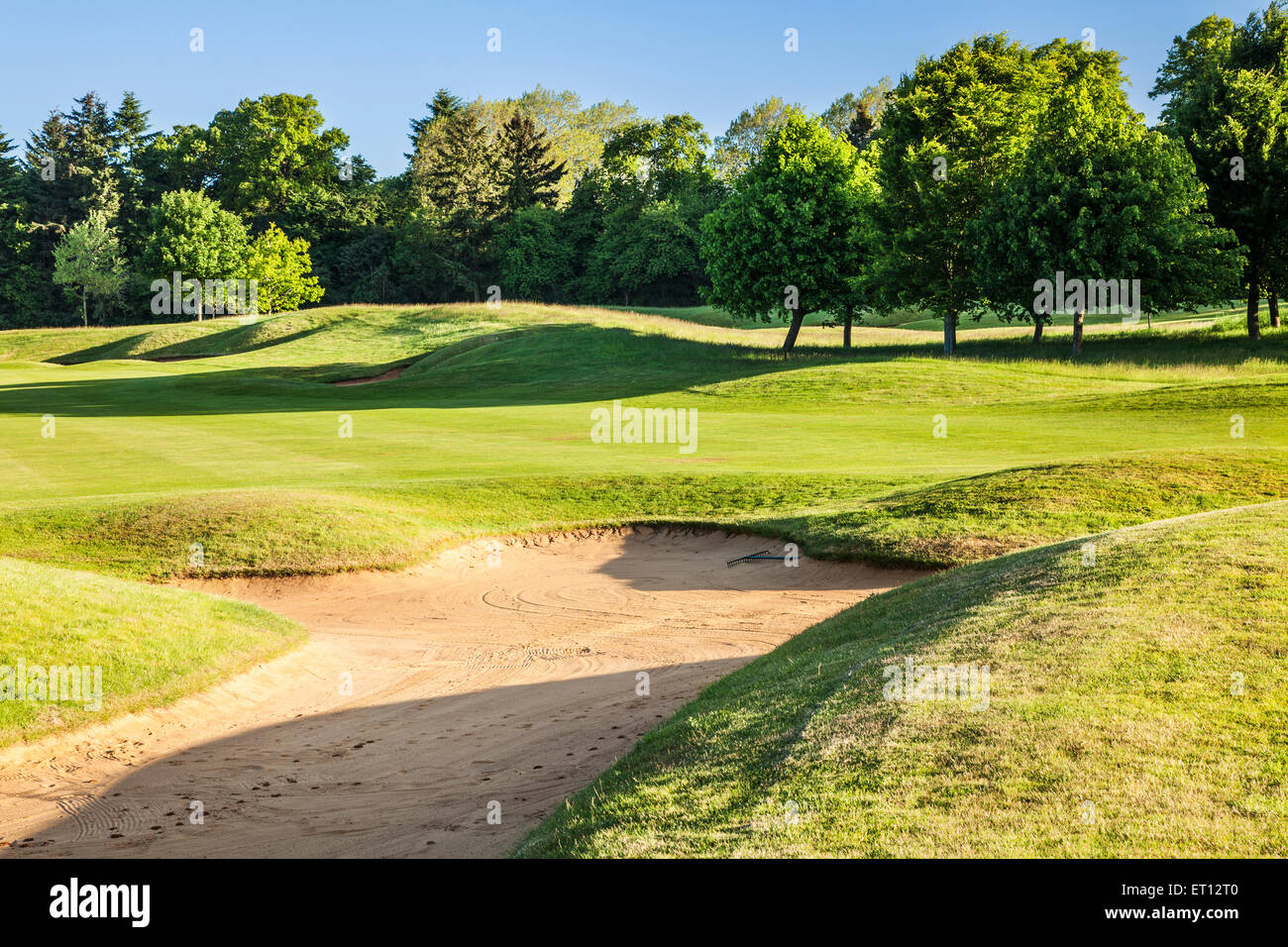 A bunker on a typical golf course in early morning sunshine Stock Photo ...