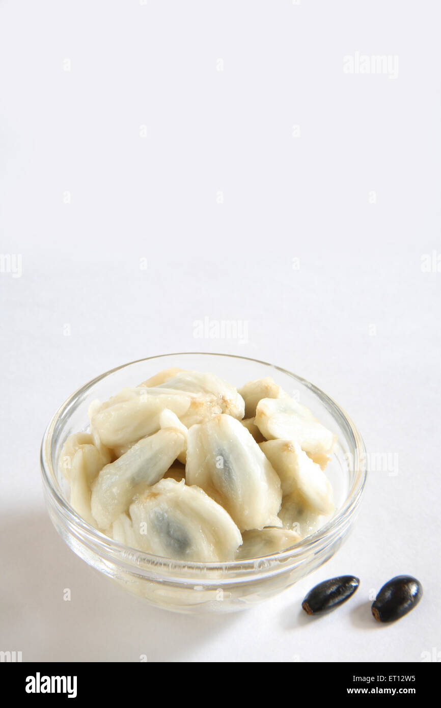 Fruit ; sharifa or sitaphal ; custard apple ; India Stock Photo - Alamy