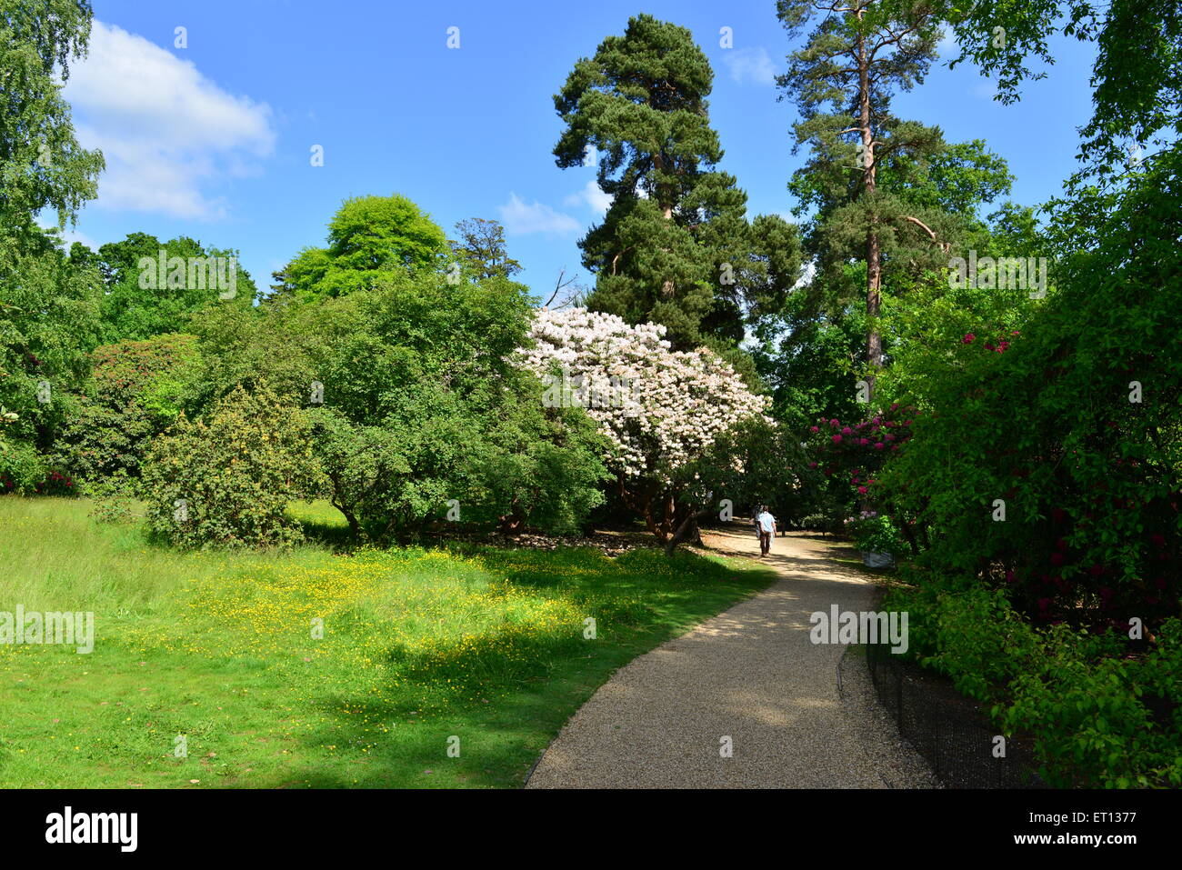 Sheffield Park country estate in England Stock Photo - Alamy