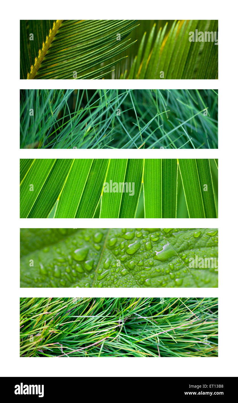 Natural textures and backgrounds on a collage Stock Photo - Alamy