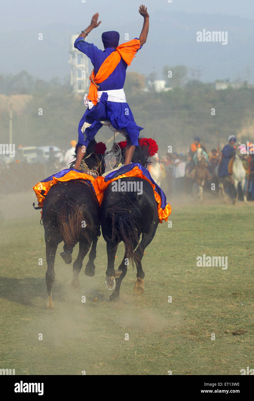 Sikh warrior balancing on horse running in hola mohalla festival ...