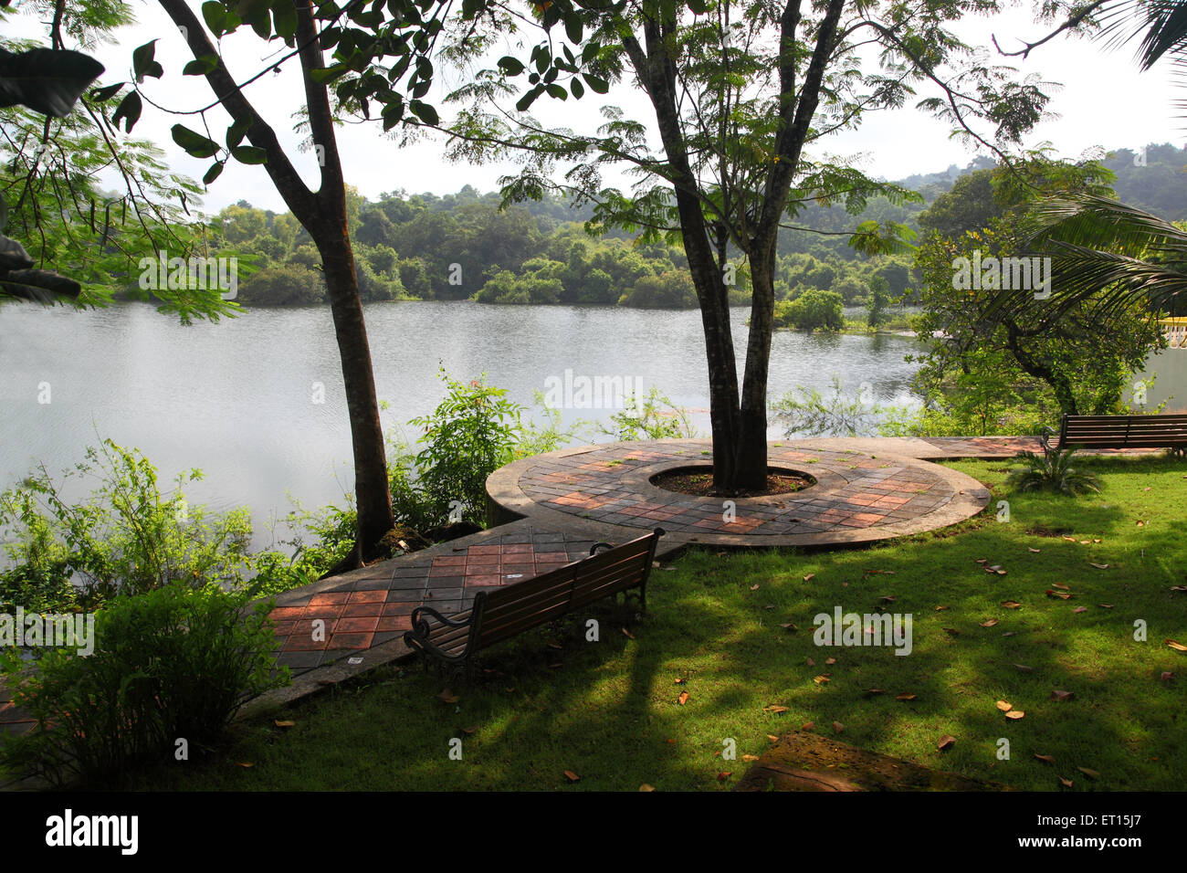 Bicholim hi-res stock photography and images - Alamy