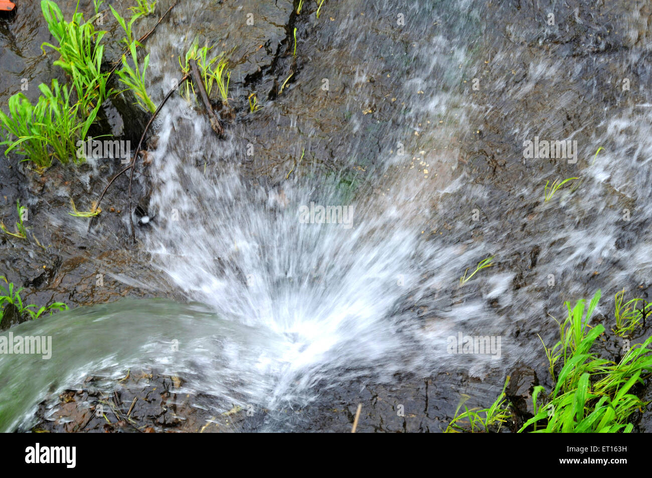 166937 hi-res stock photography and images - Alamy